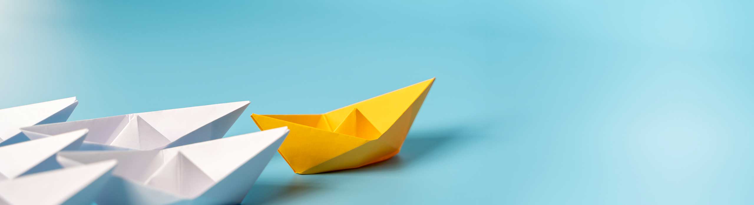 Leadership and developing a school vision statement – Babylon Academy